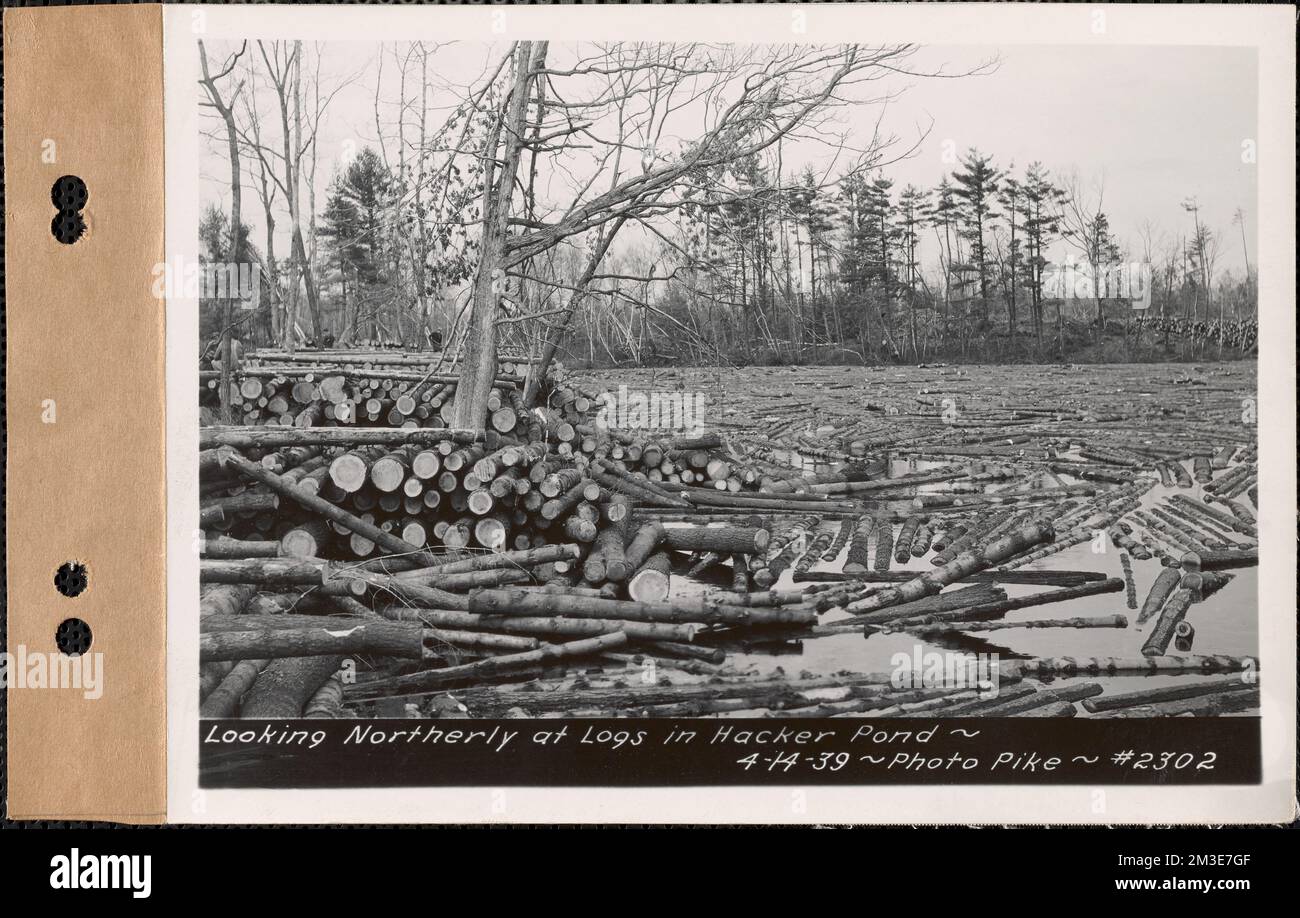 Looking northerly at logs in Hacker Pond, New Salem, Mass., Apr. 14 ...