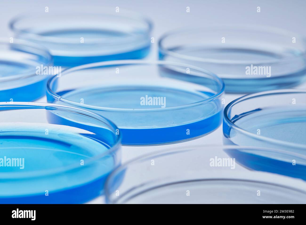 science lab with clear blue background and test tubes with blue ...