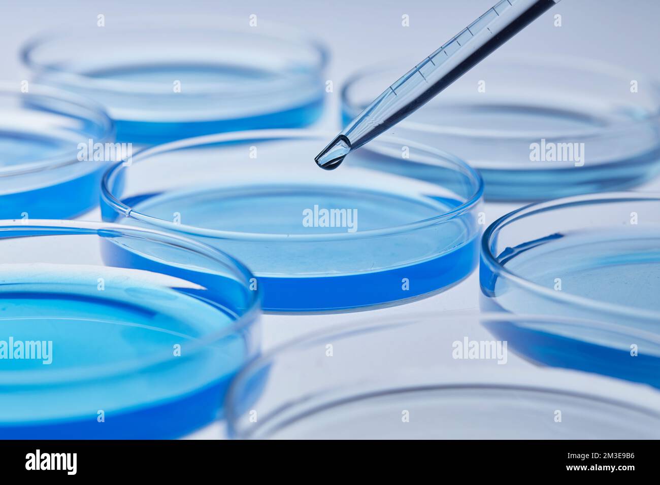 science lab with clear blue background and test tubes with blue ...