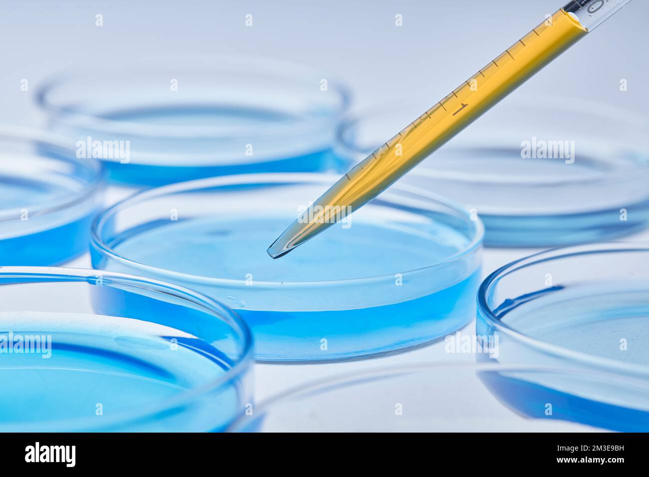 science lab with clear blue background and test tubes with blue ...