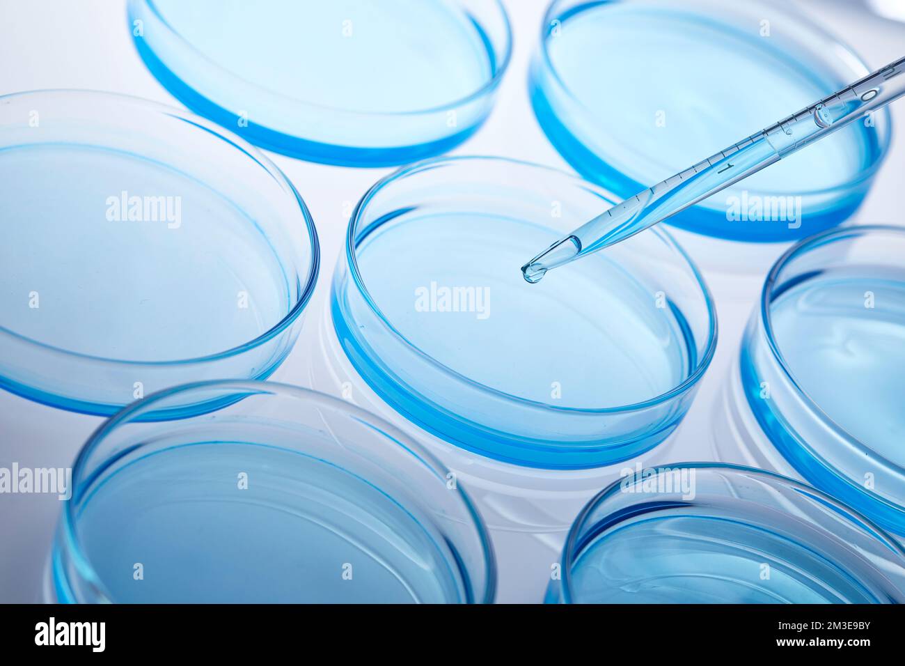 science lab with clear blue background and test tubes with blue ...