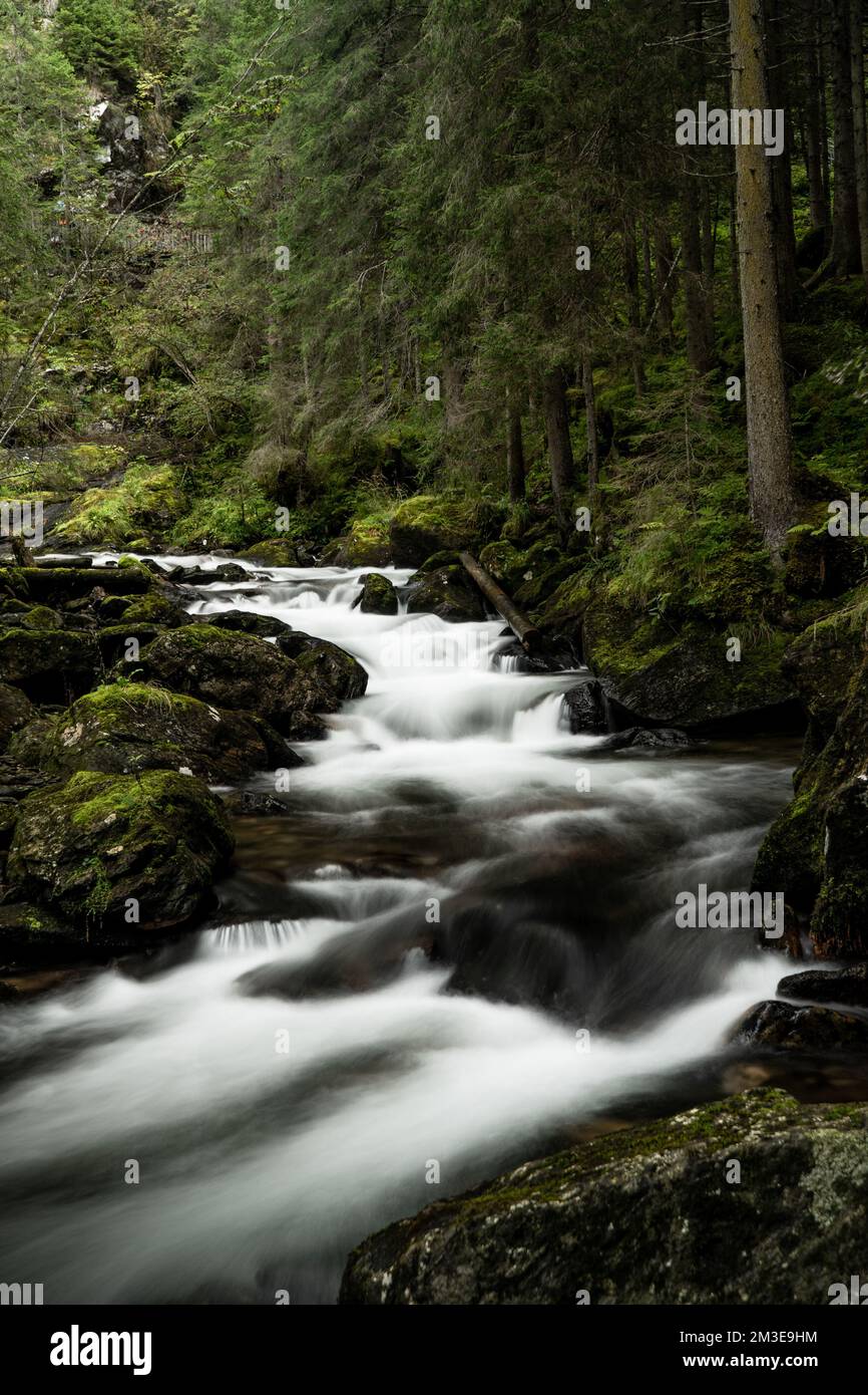 A vertical long exposure of waterfall cascades surrounded by evergreen ...