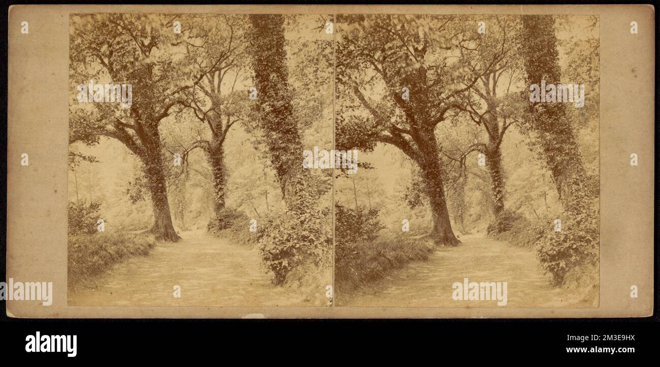 Matloch hi-res stock photography and images - Alamy