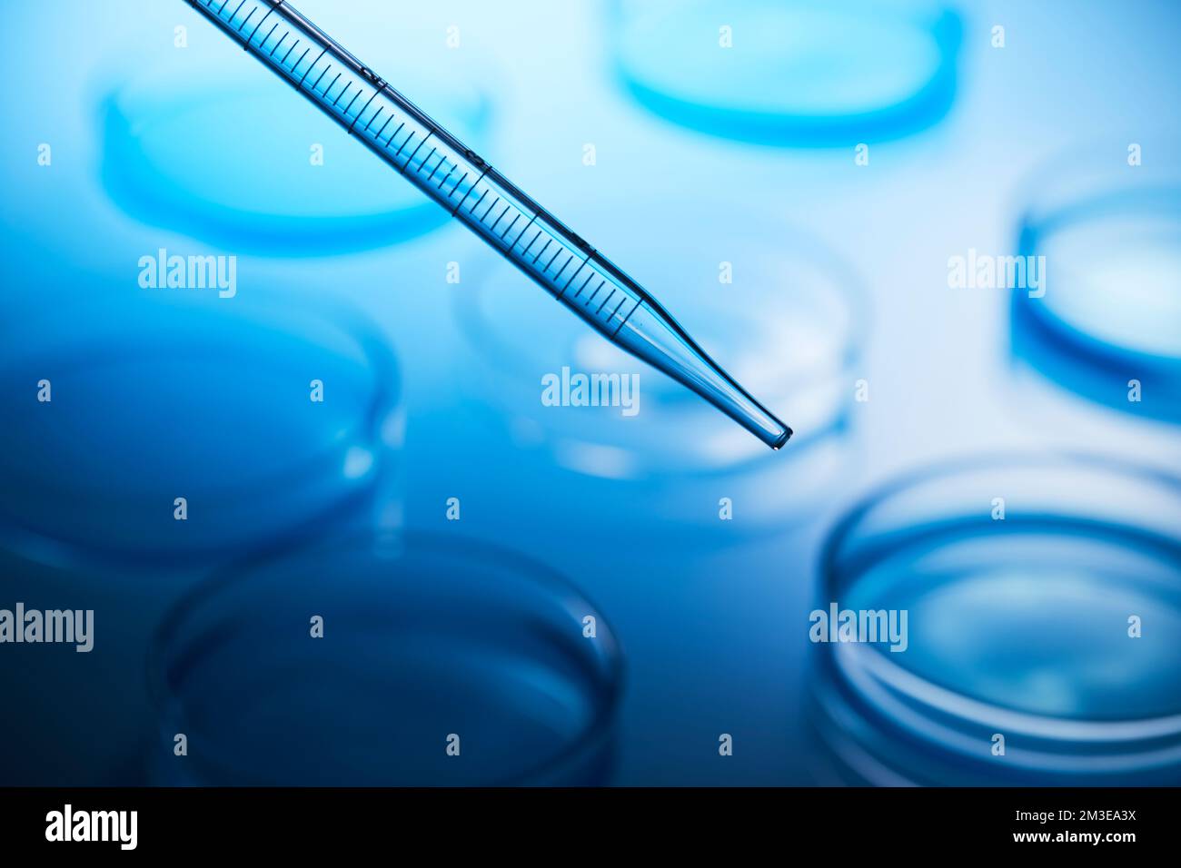 science lab with clear blue background and test tubes with blue ...