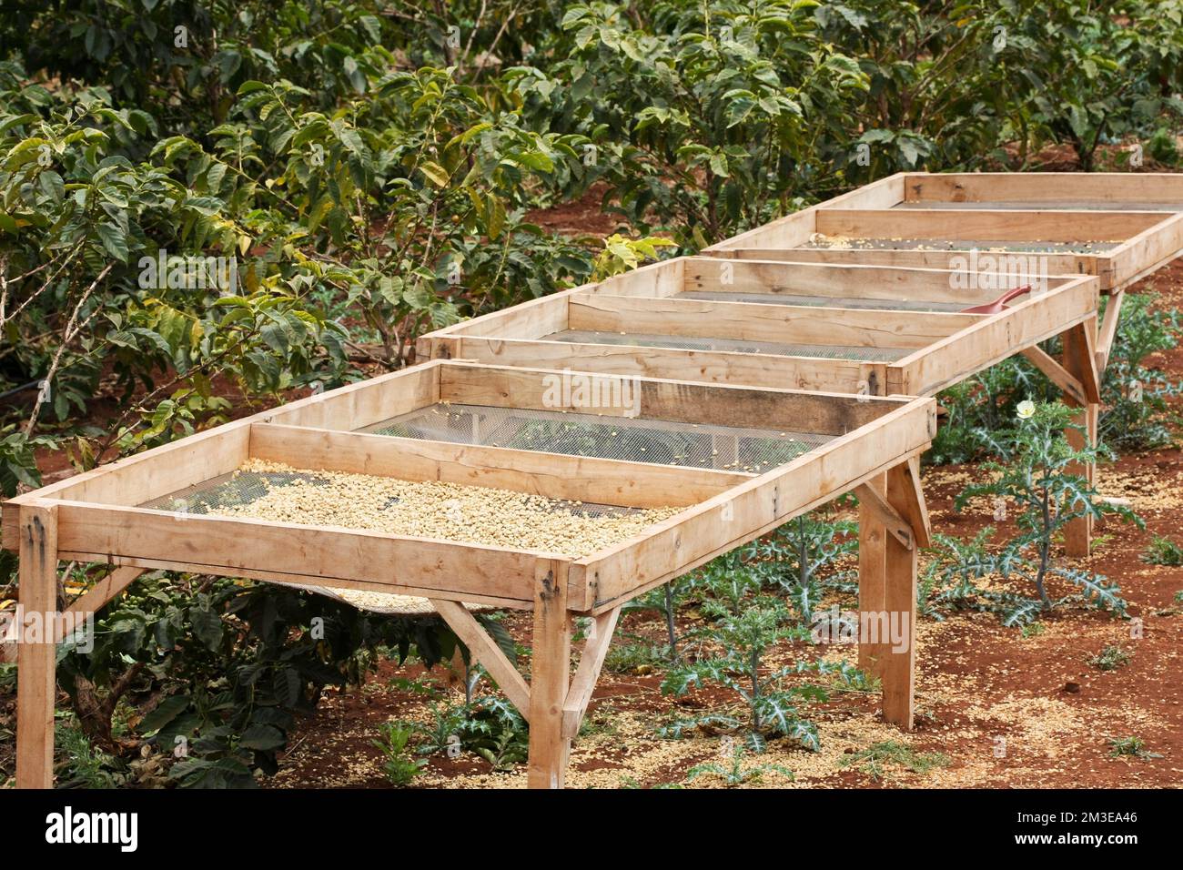 Ground drying process hi-res stock photography and images - Alamy