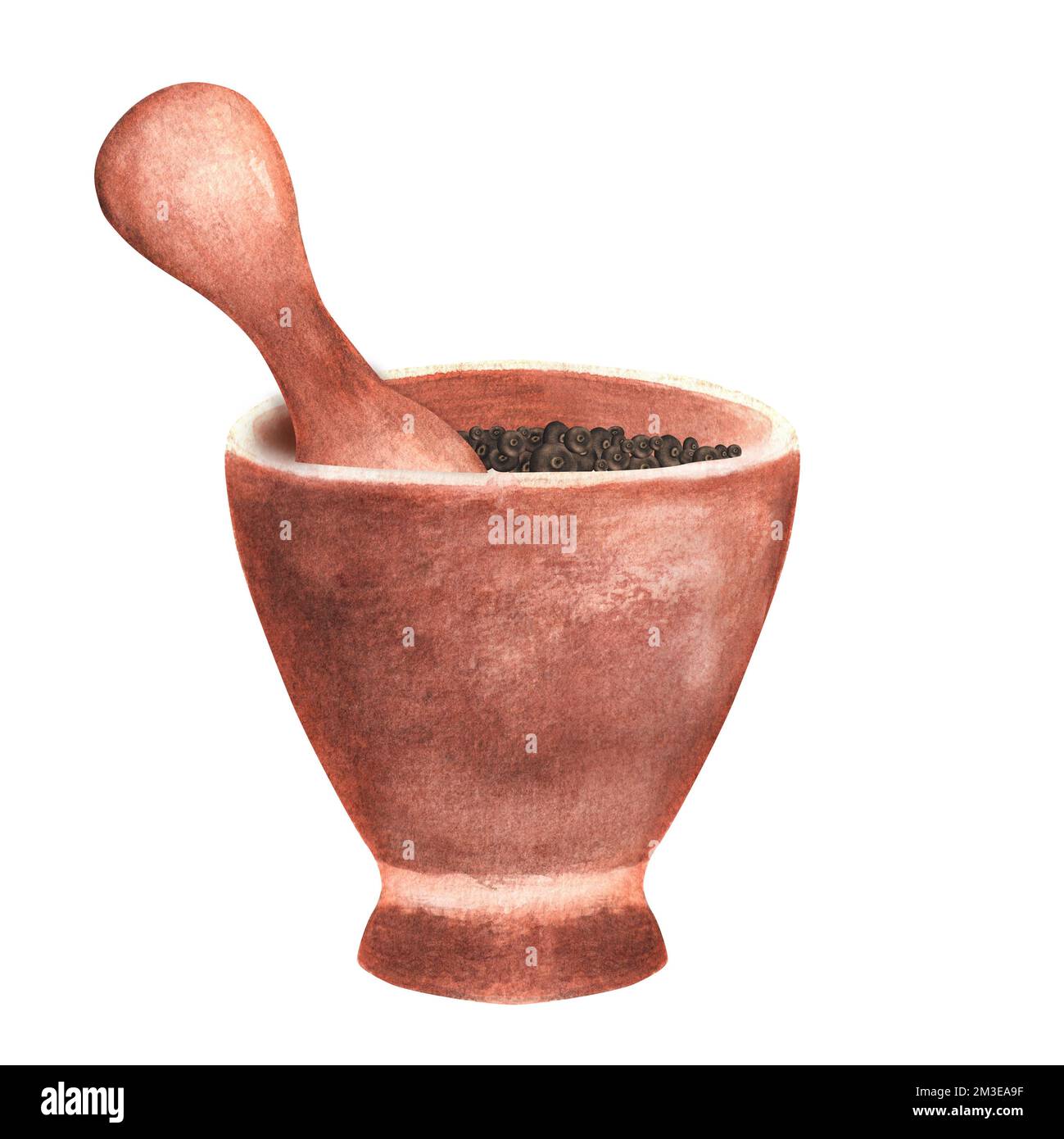 Hand-drawn watercolor fragrant pepper in a mortar with a pestle. This ...