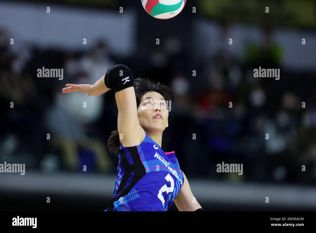 Musashino Forest Sport Plaza, Tokyo, Japan. 11th Dec, 2022. Koyomi Iwasaki, DECEMBER 11, 2022 ...