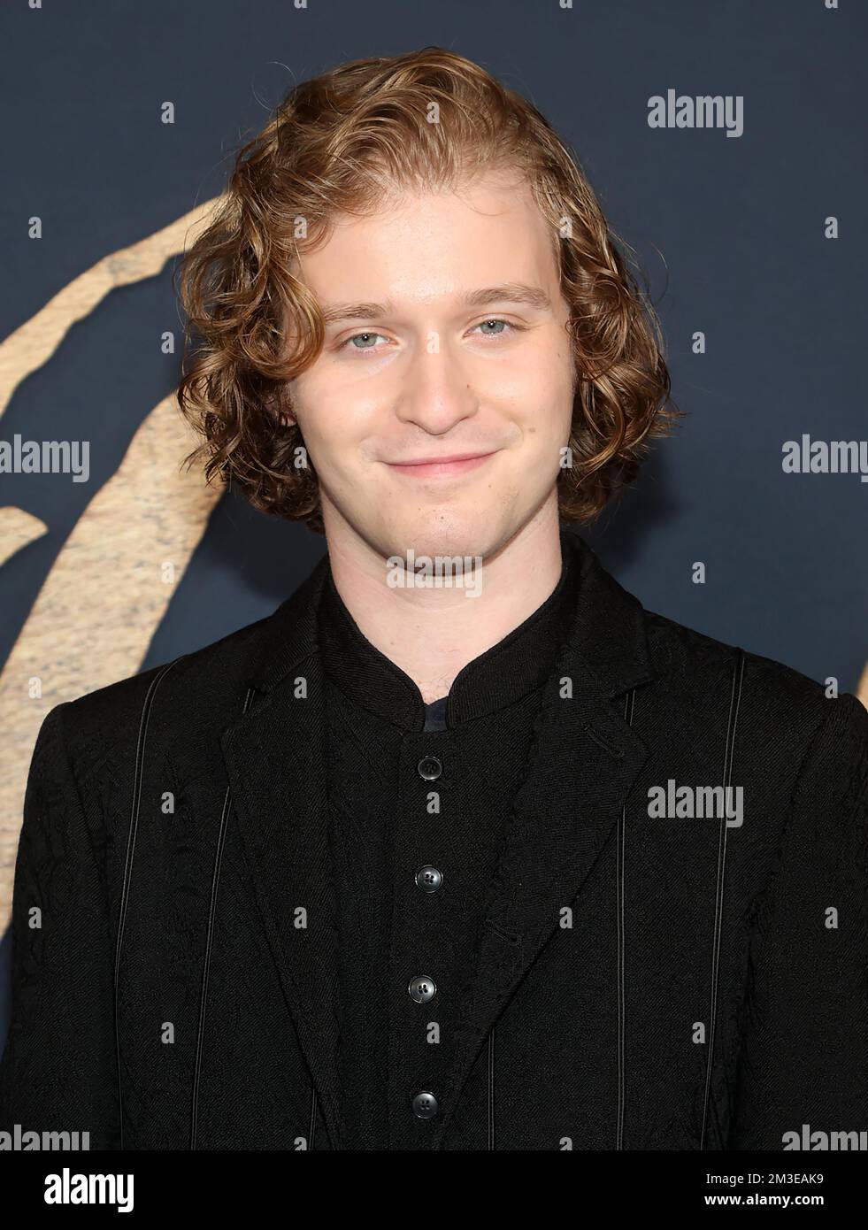 14 December 2022 -Los Angeles, California - Fred Hechinger. the Netflix ...