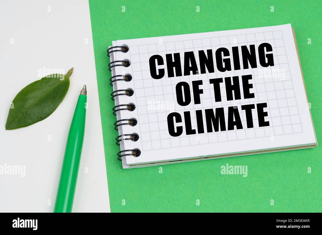 Ecological concept. On a white-green background lies a pen, a leaf of a ...