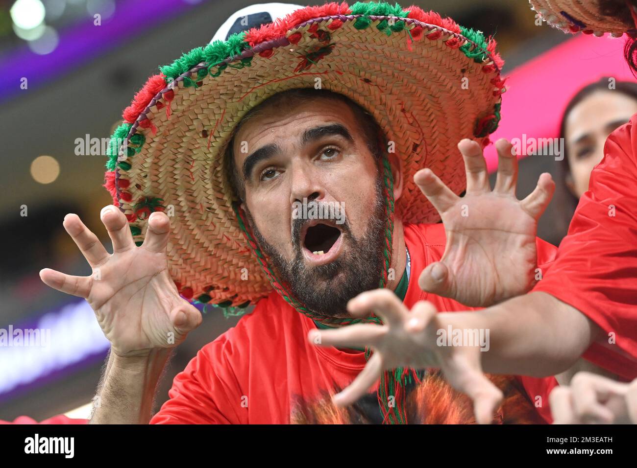 Moroccan male fans, soccer fans. Semi-final, semi-final game 62, France ...