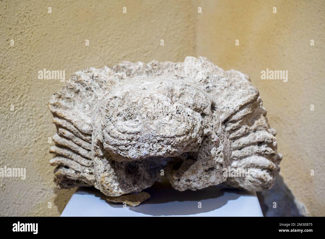 Fragments of sima (roof crowning for the collection and discharge of ...