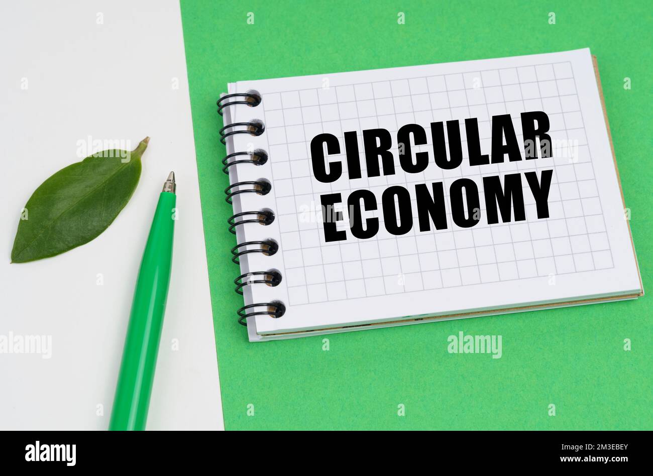Ecological concept. On a white-green background lies a pen, a leaf of a ...