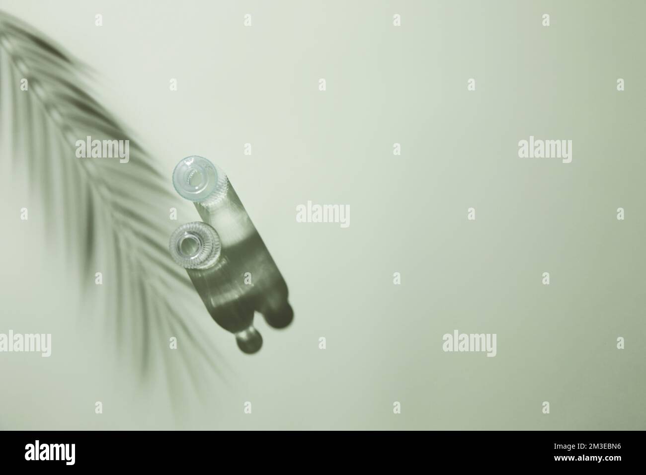 simple, minimal and desaturated background with leaves of palm trees ...