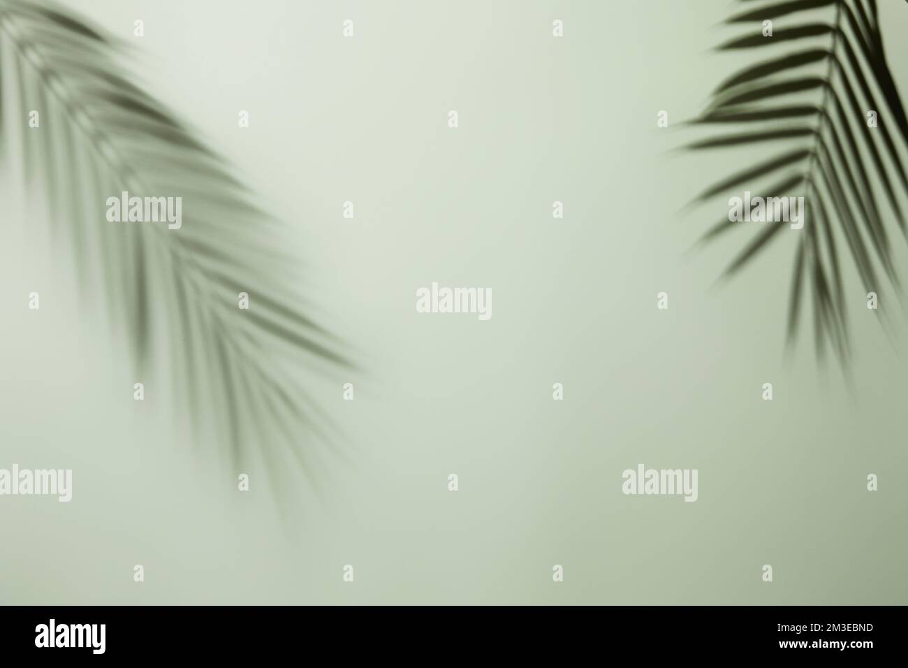 simple, minimal and desaturated background with leaves of palm trees ...