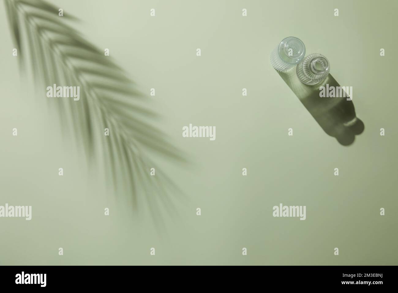 simple, minimal and desaturated background with leaves of palm trees ...