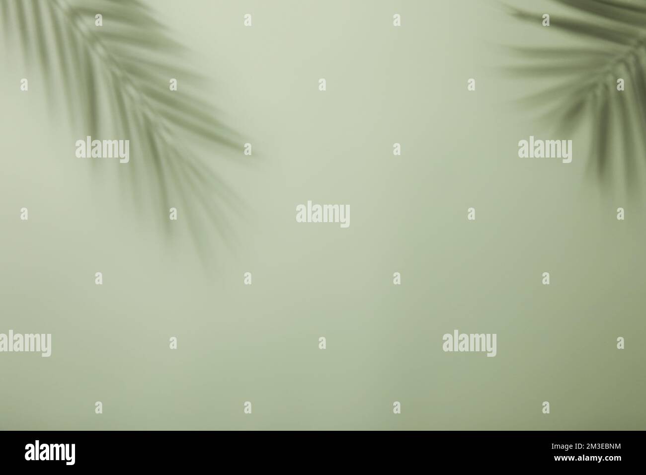 simple, minimal and desaturated background with leaves of palm trees ...