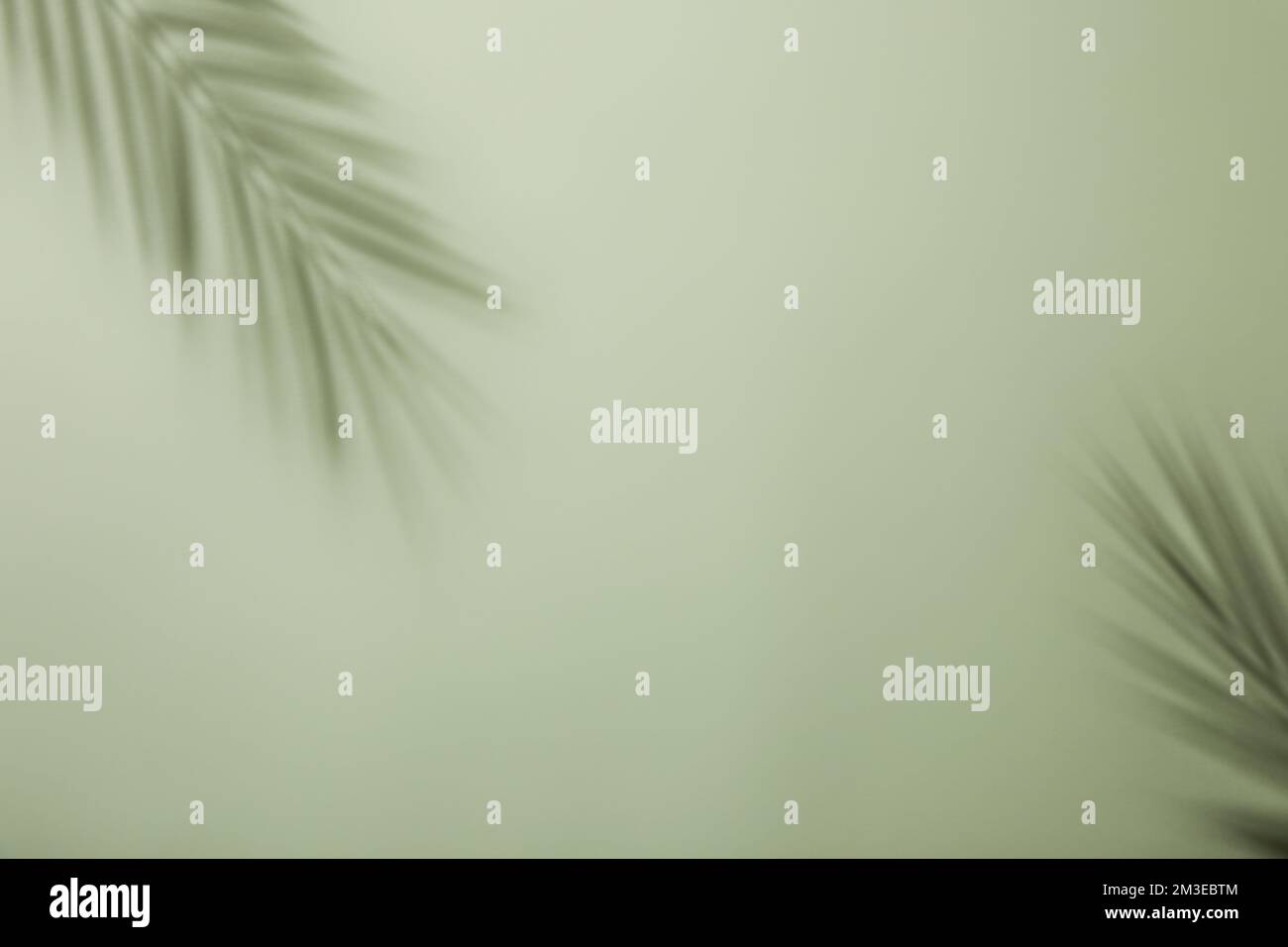 simple, minimal and desaturated background with leaves of palm trees ...