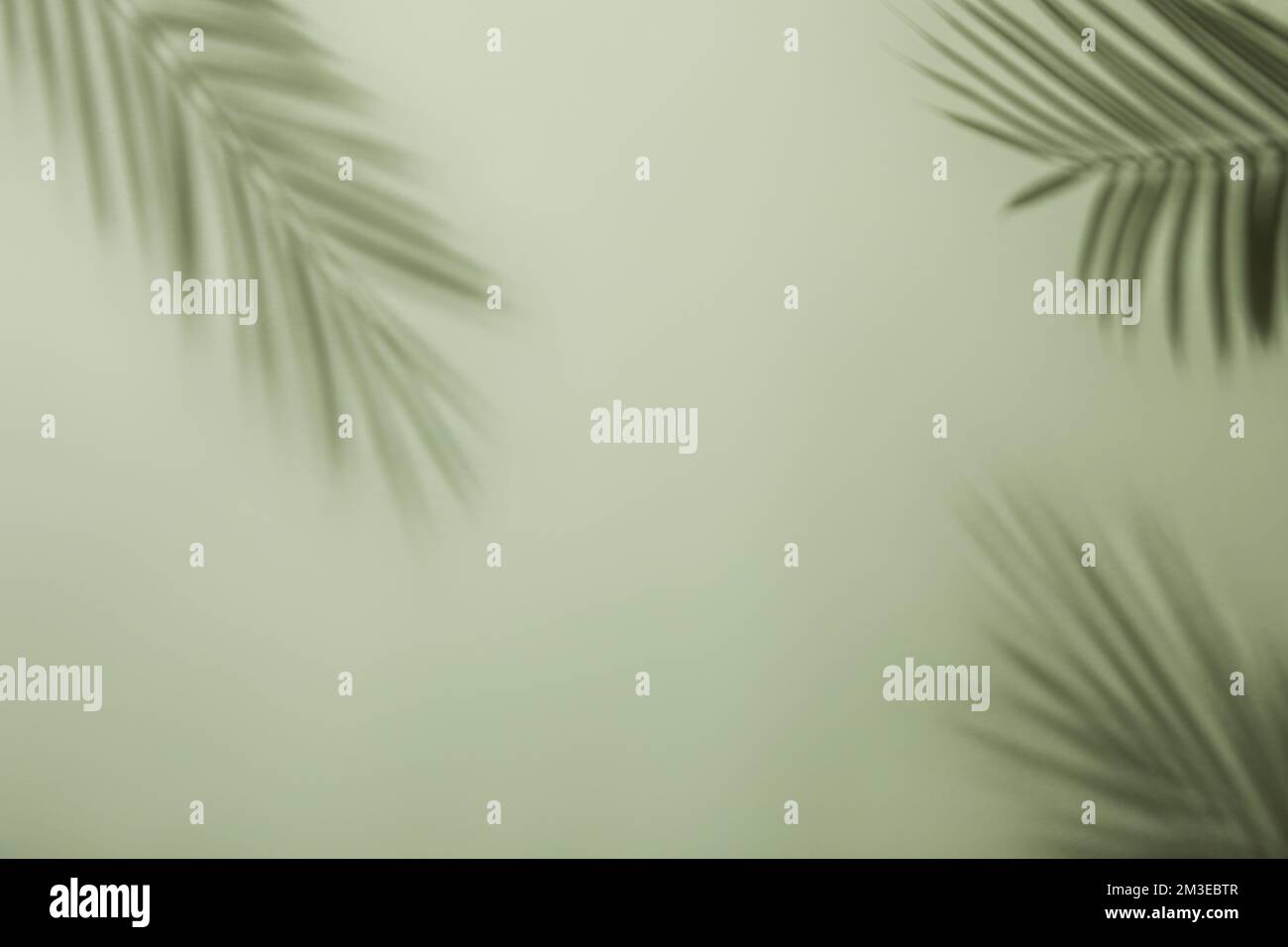 simple, minimal and desaturated background with leaves of palm trees ...