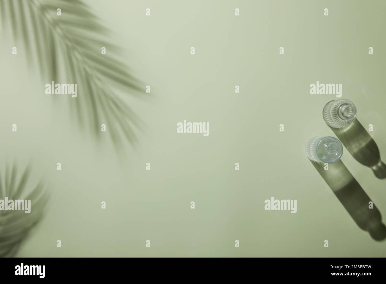 simple, minimal and desaturated background with leaves of palm trees ...