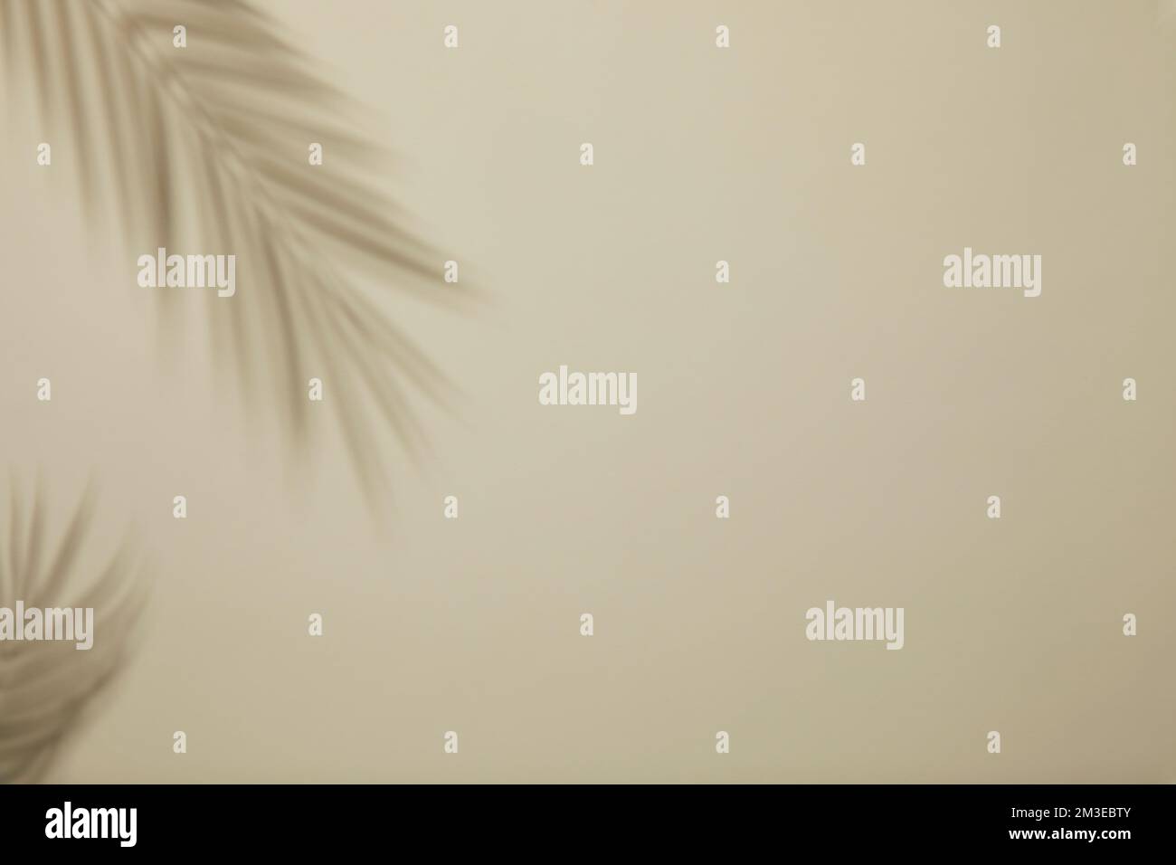 simple, minimal and desaturated background with leaves of palm trees ...