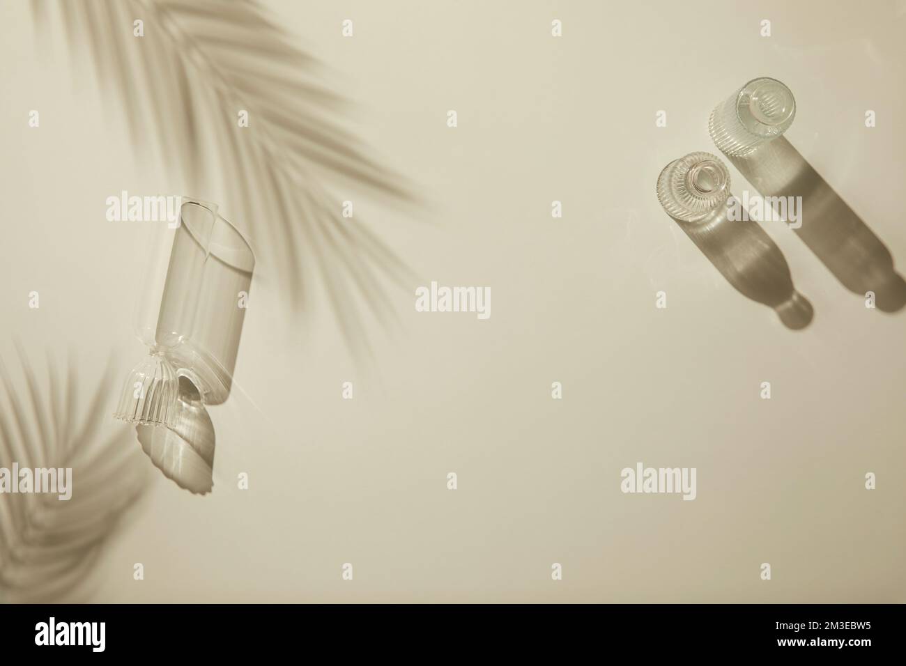 simple, minimal and desaturated background with leaves of palm trees ...