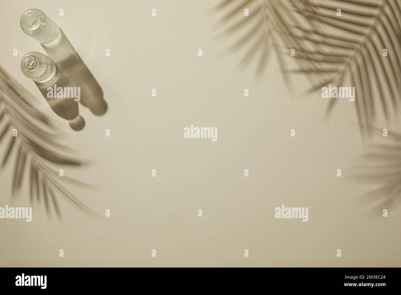 simple, minimal and desaturated background with leaves of palm trees ...