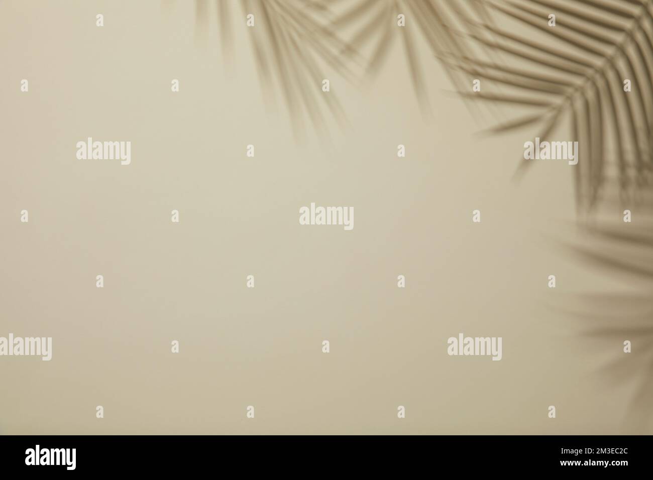 simple, minimal and desaturated background with leaves of palm trees ...