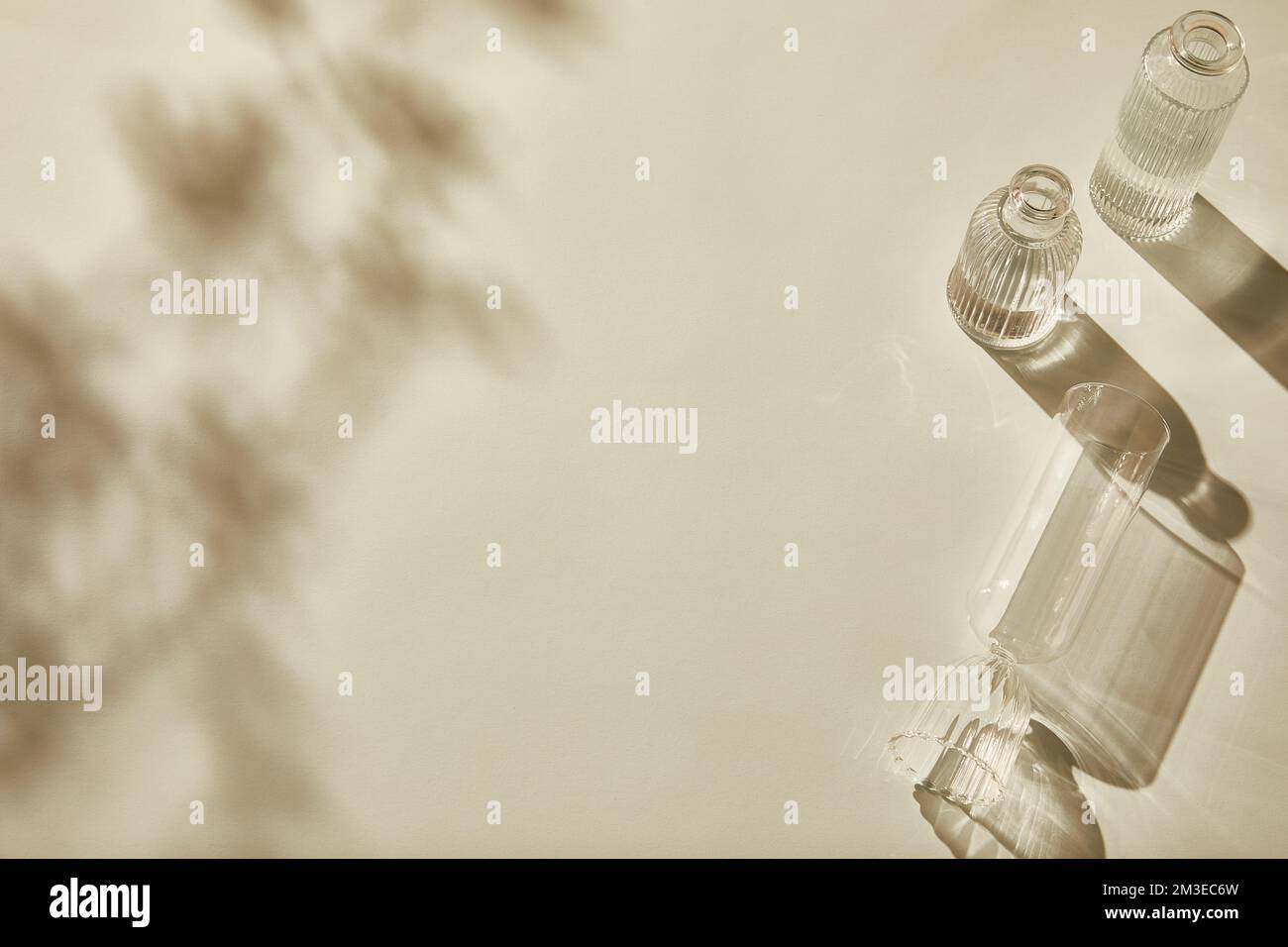 simple, minimal and desaturated background with leaves of palm trees ...