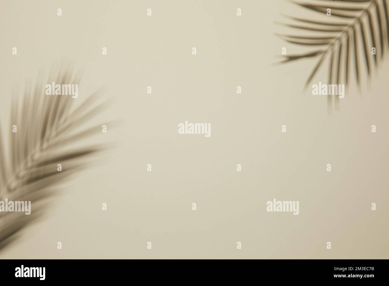 simple, minimal and desaturated background with leaves of palm trees ...