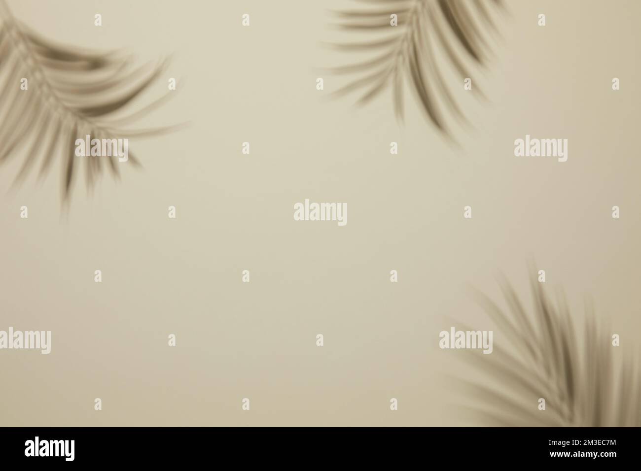 simple, minimal and desaturated background with leaves of palm trees ...