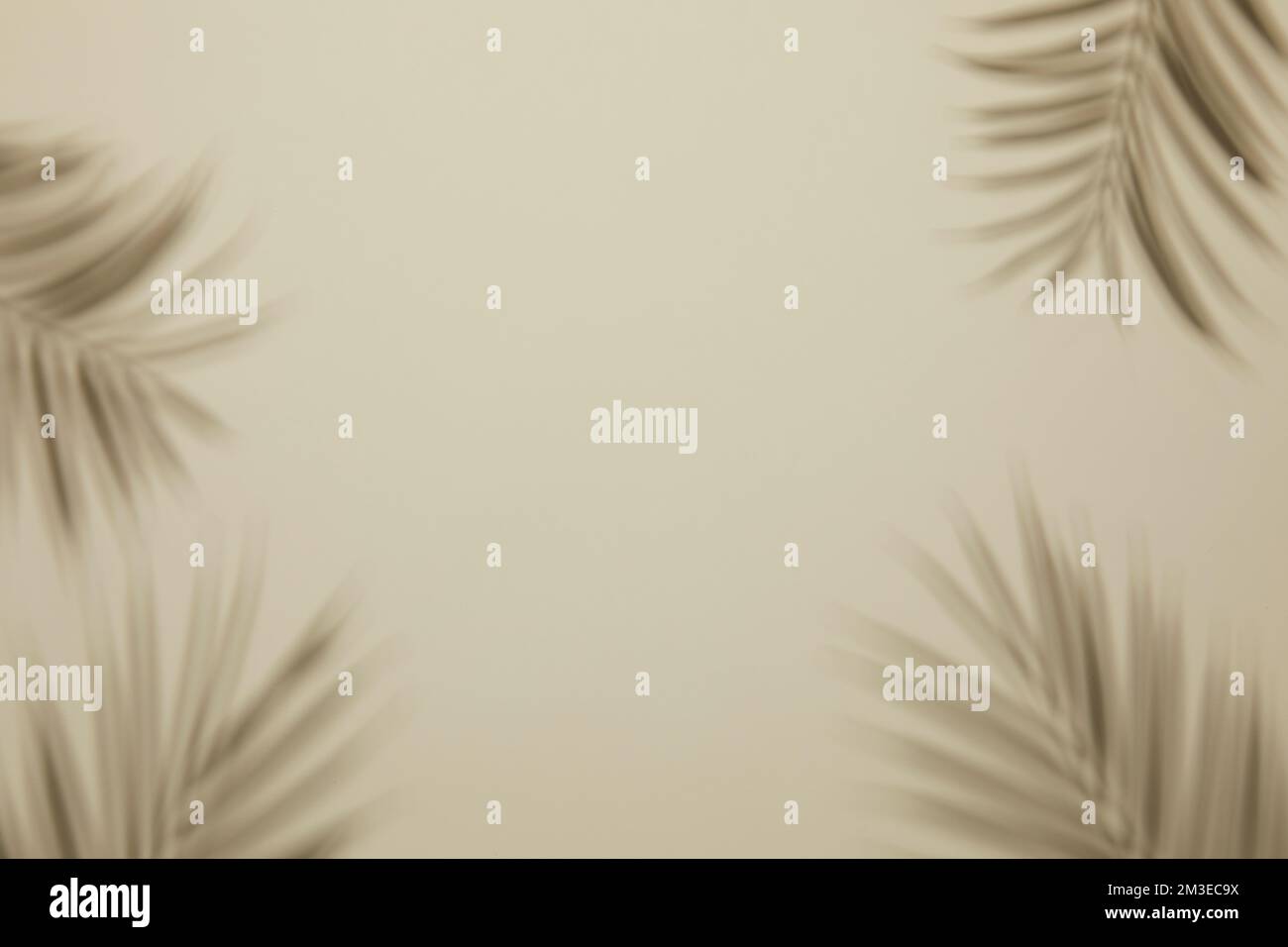 simple, minimal and desaturated background with leaves of palm trees ...