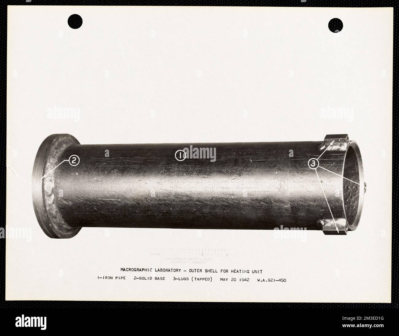 Macrographic hi-res stock photography and images - Alamy