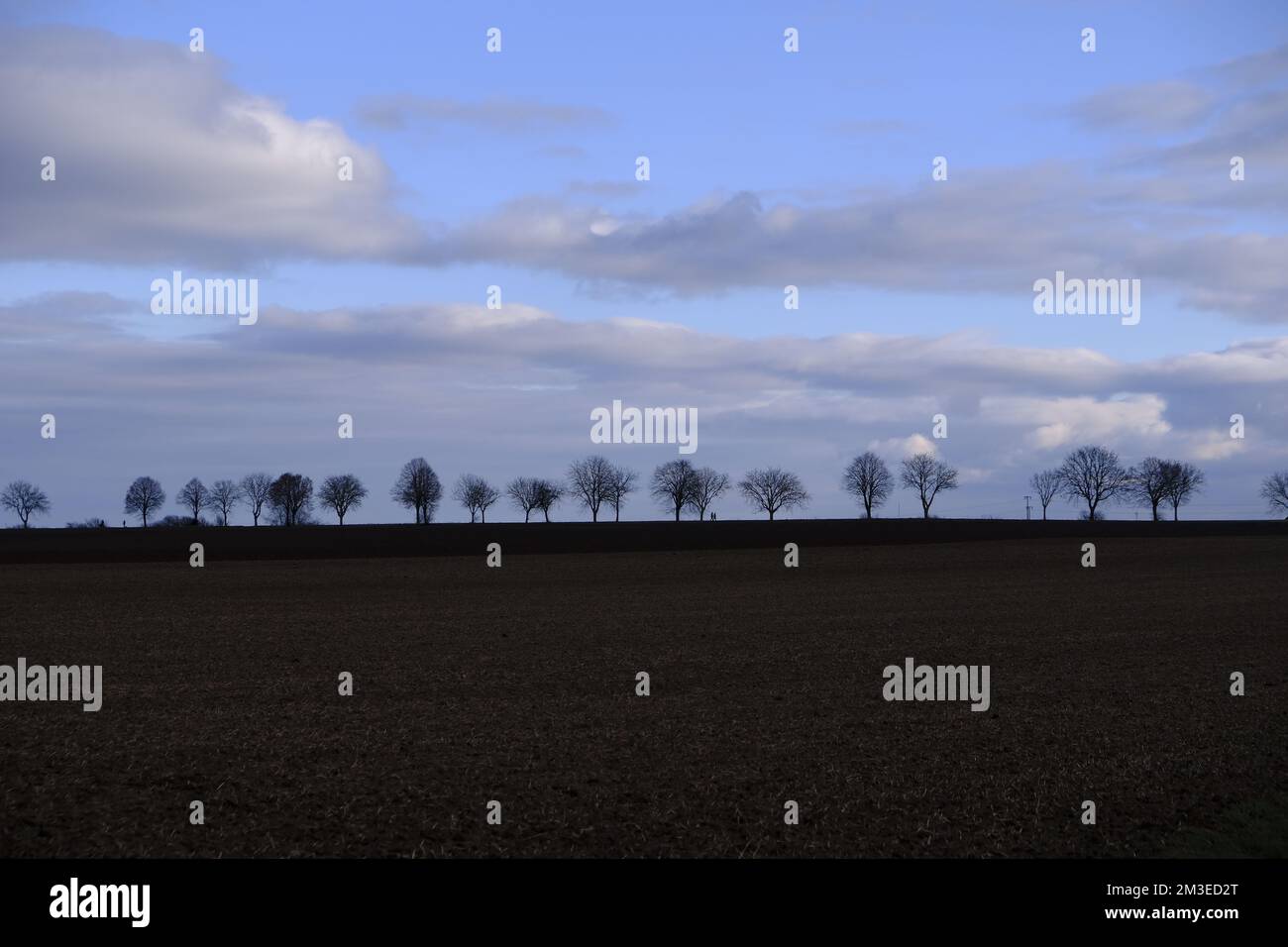 Horizon line trees hi-res stock photography and images - Alamy