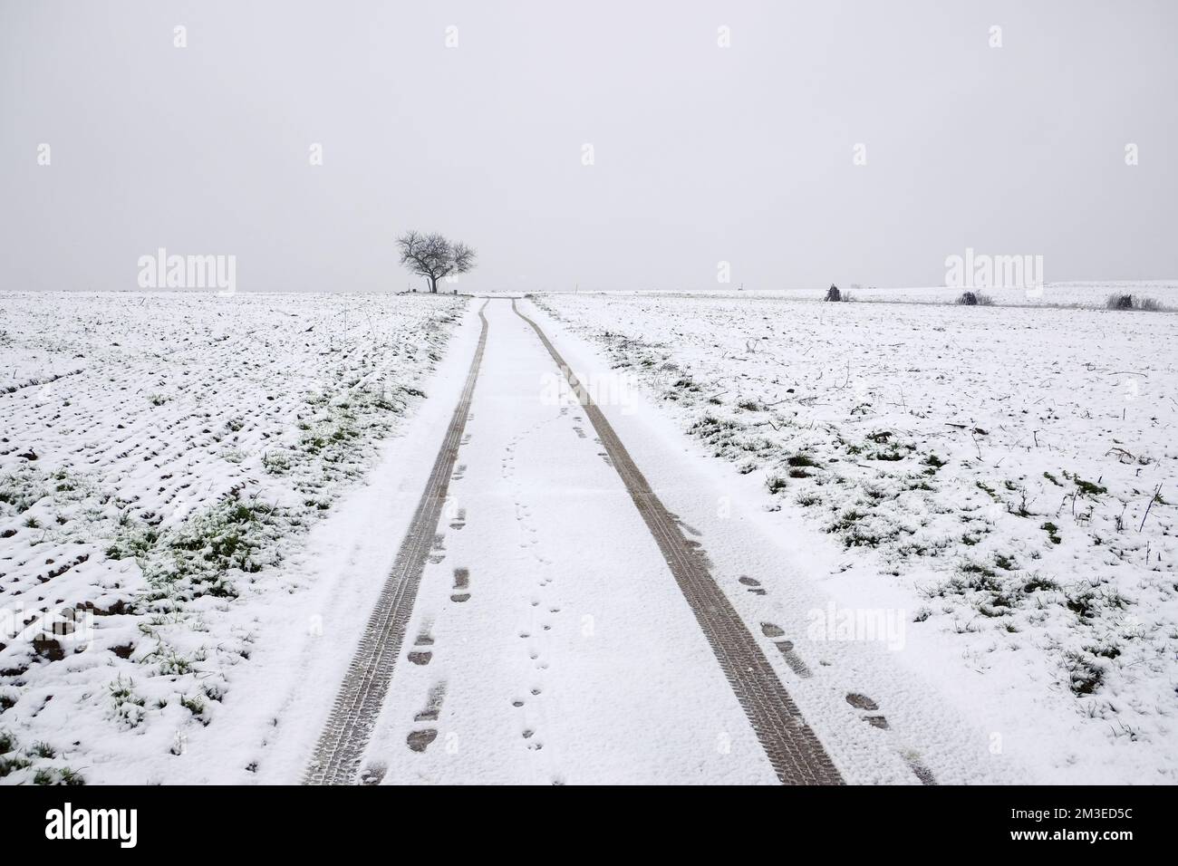 snowy dirt road with tire tracks Stock Photo - Alamy