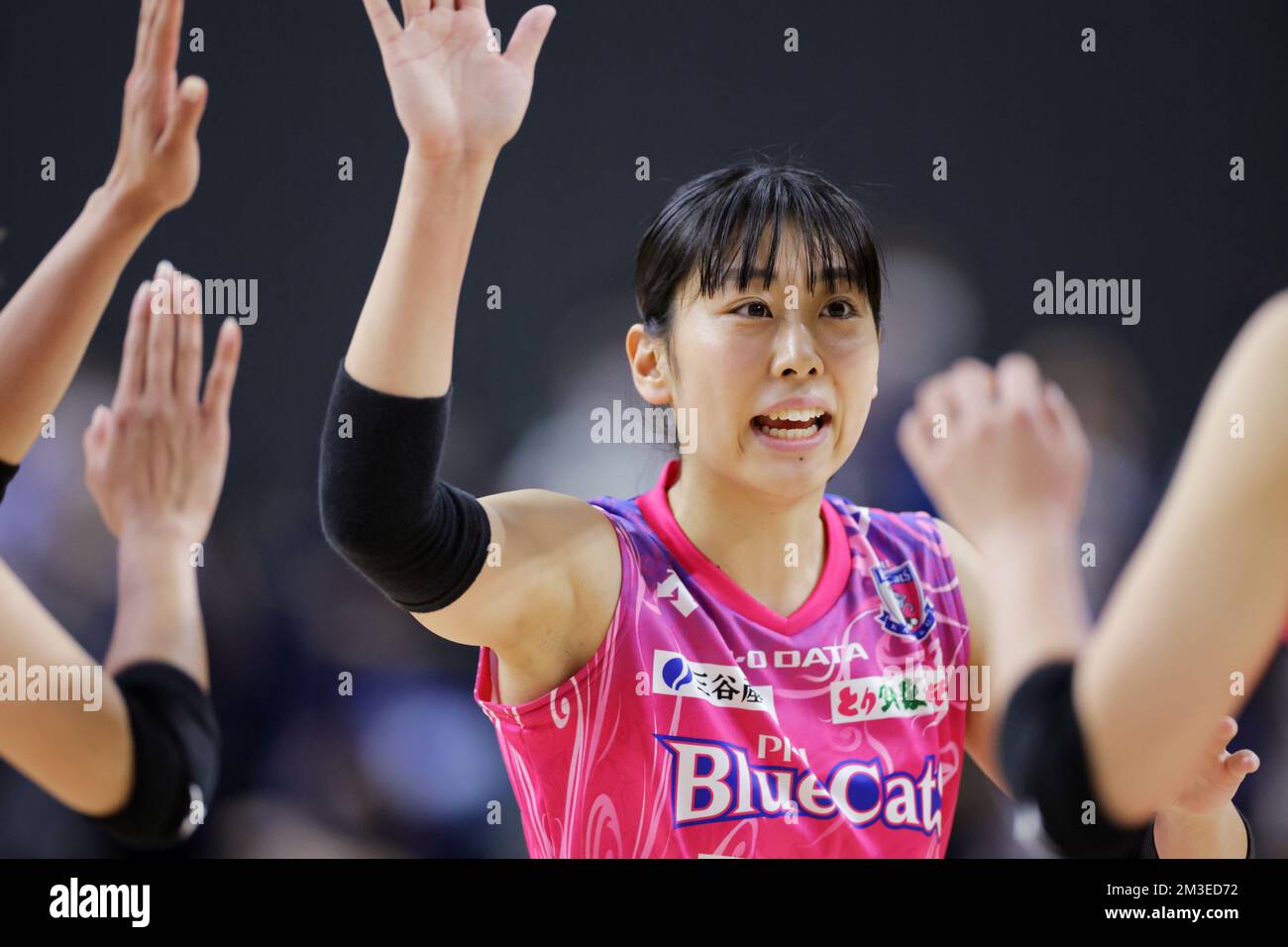 Musashino Forest Sport Plaza, Tokyo, Japan. 11th Dec, 2022. Mikoto Shima (PFU), DECEMBER 11 ...