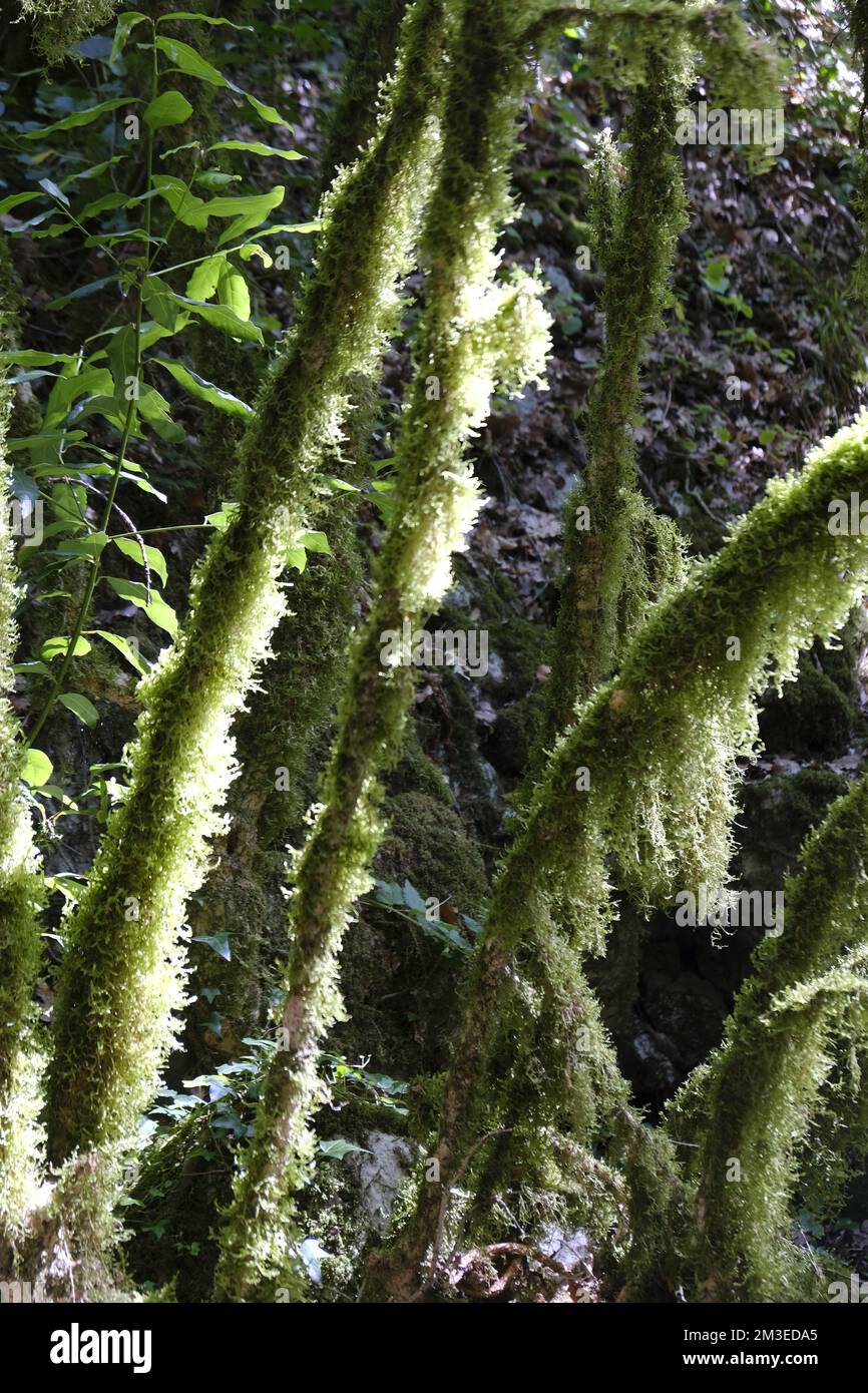 Frank dan hofacker real life photography hi-res stock photography and ...