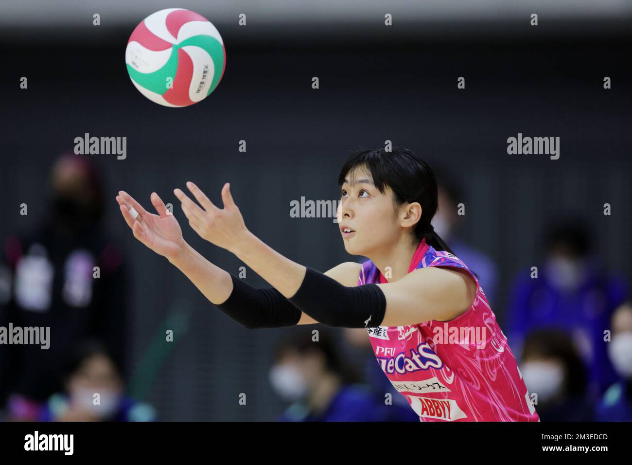 Musashino Forest Sport Plaza, Tokyo, Japan. 11th Dec, 2022. Mikoto Shima (PFU), DECEMBER 11 ...