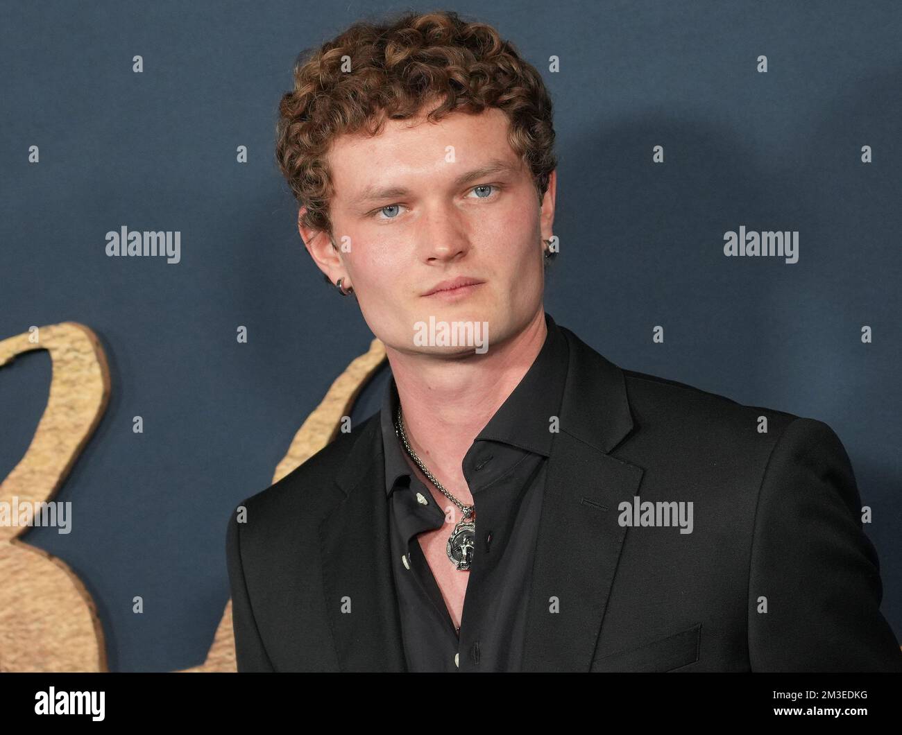 Brennan Keel Cook arrives at THE PALE BLUE EYE Los Angeles Premiere ...
