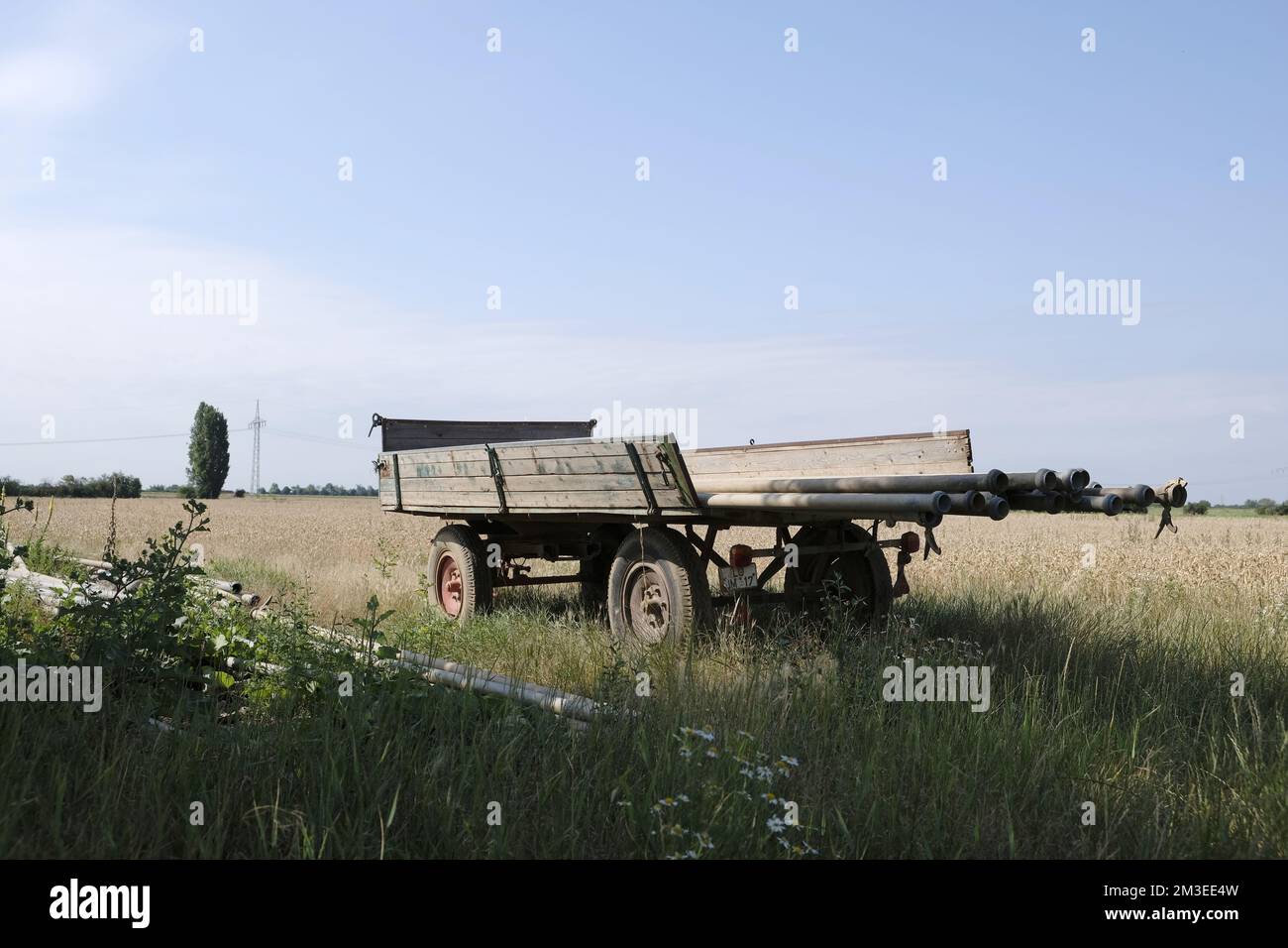 Germany frank dan hofacker hi-res stock photography and images - Alamy