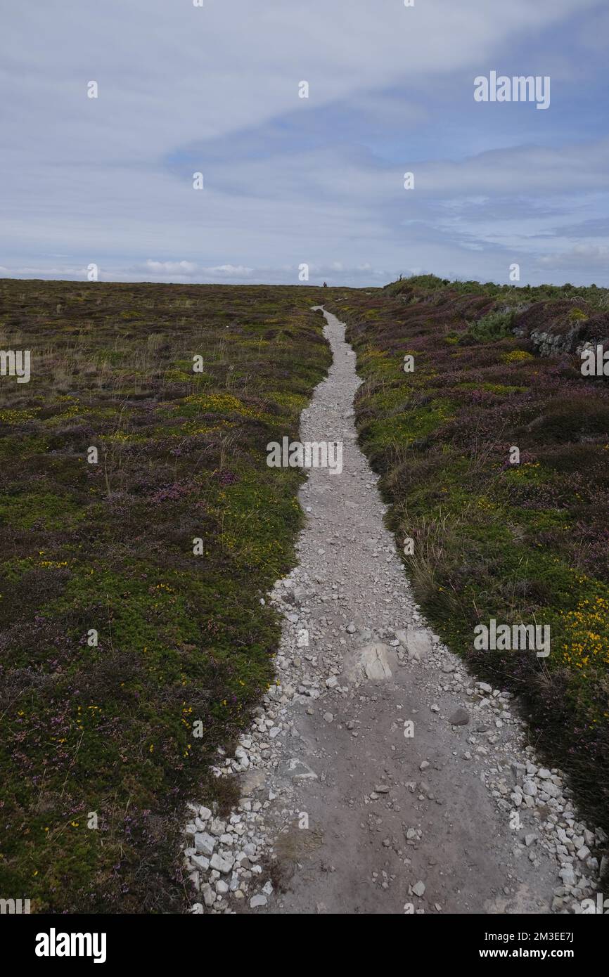 Long way to a crossroads Stock Photo - Alamy