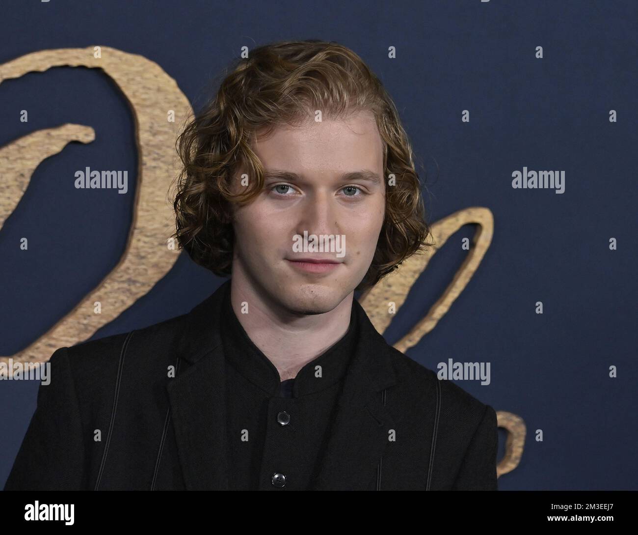 Los Angeles, United States. 14th Dec, 2022. Cast member Fred Hechinger ...