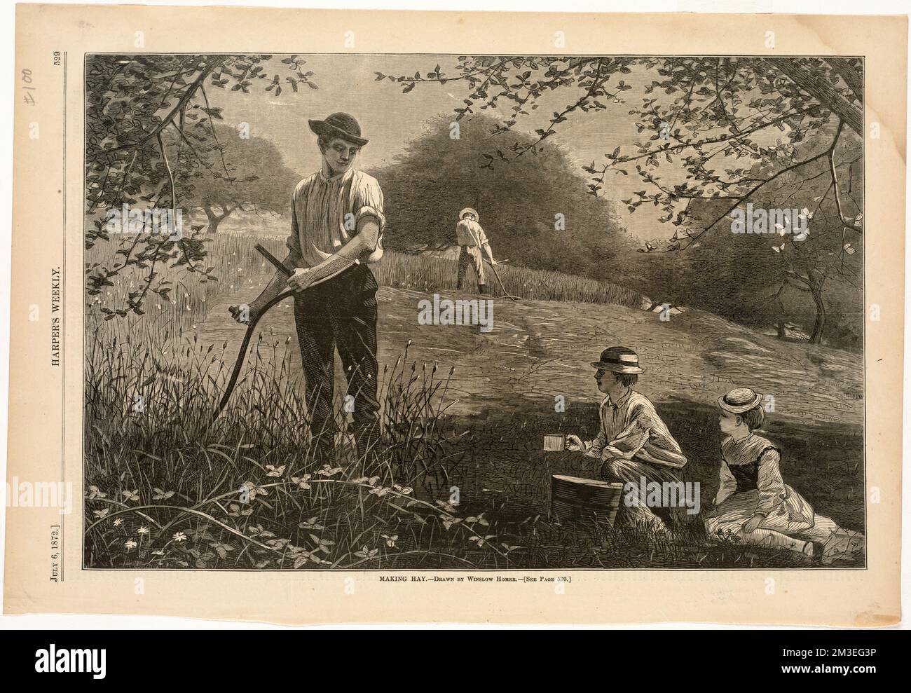 Making hay , Harvesting, Hay Stock Photo - Alamy