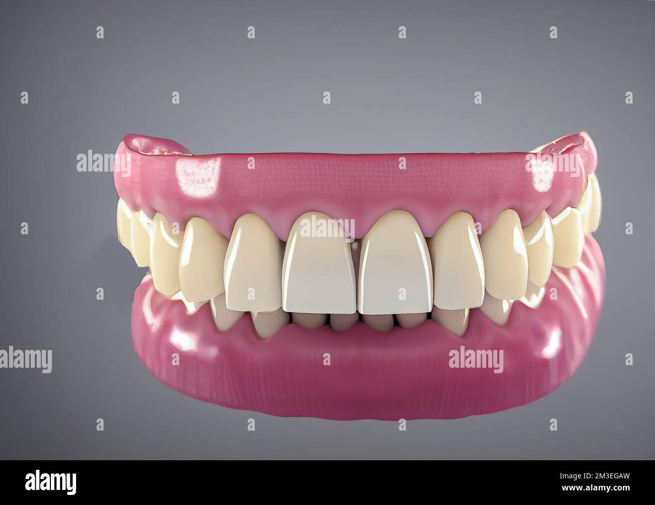 Tooth morphology hi-res stock photography and images - Alamy