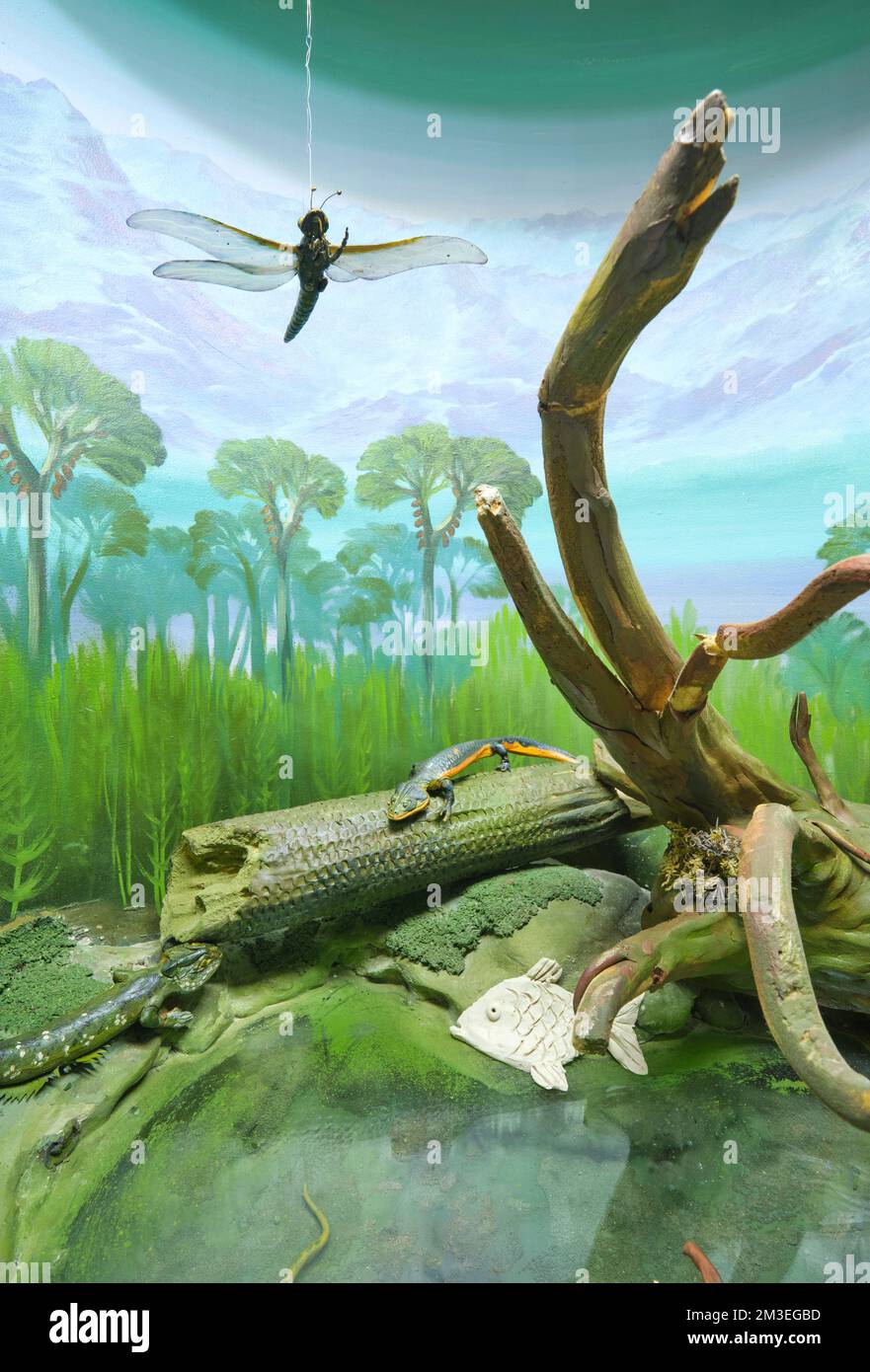 A recreation of a dinosaur era nature scene with sealife, insects ...