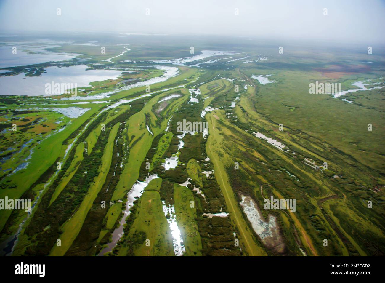 Ethiopia, Sidama region, aerial view of the Omo Delta - Lake Turkana in ...