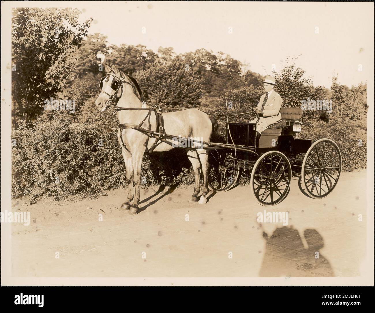 Man driving horse-drawn buggy , Horses, Carriages & coaches. Leon ...