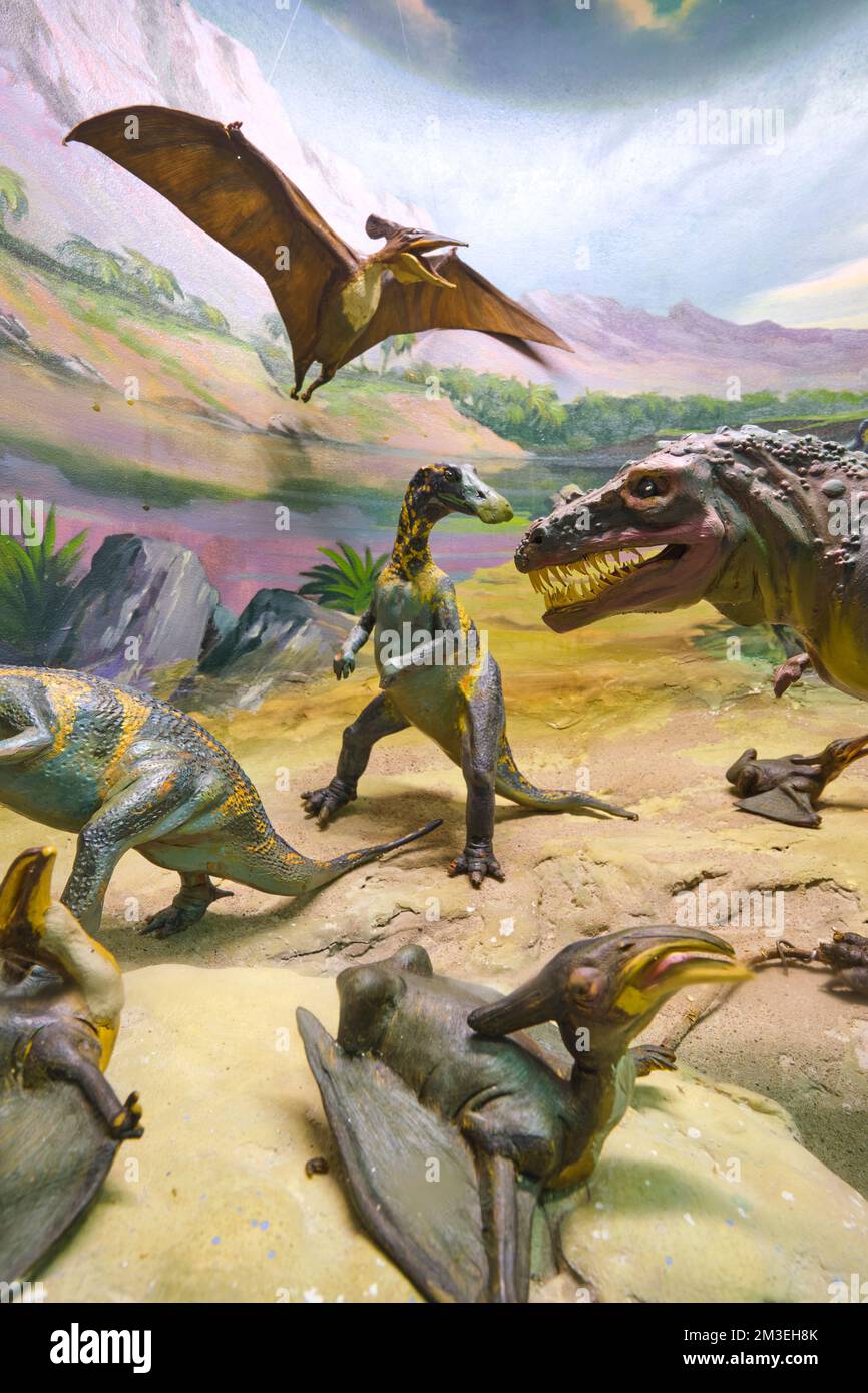 A recreation of various fighting dinosaurs. Detail of a diorama at the ...