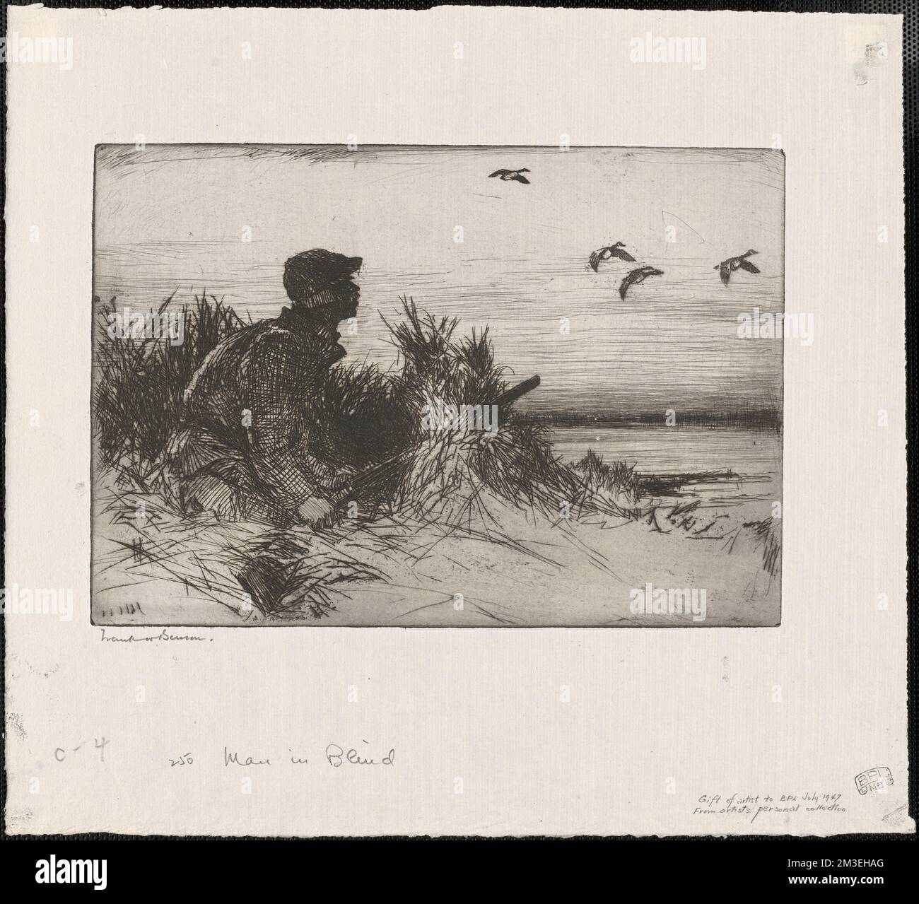 Man in blind , Blinds Shelters, Hunters, Game bird hunting. Frank W ...