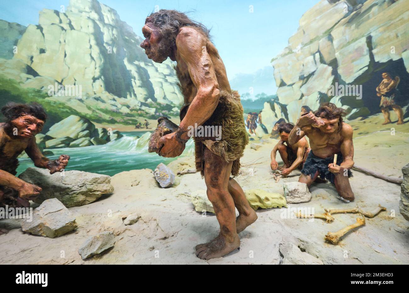 Stone age, cave men busy breaking rocks, building tools with bones ...