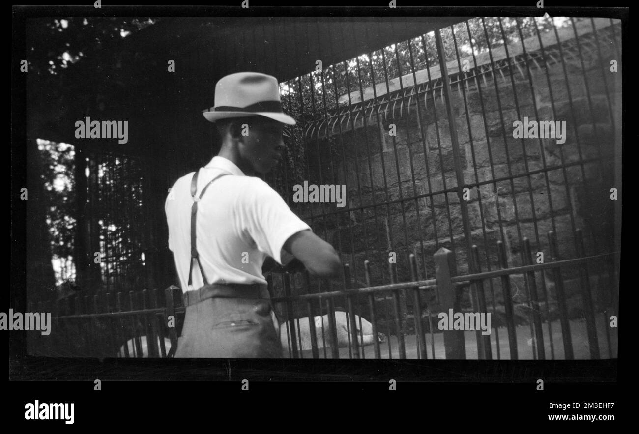 Man looks over his shoulder at zoo , Cages, Zoos. Jack Miller ...